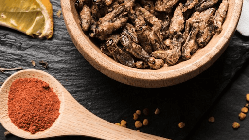 The Health Benefits of Eating Bugs—Protein, Vitamins, & More! - Article ...